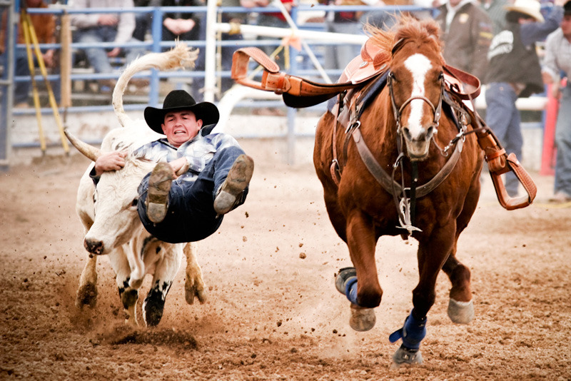 The History of a Rodeo