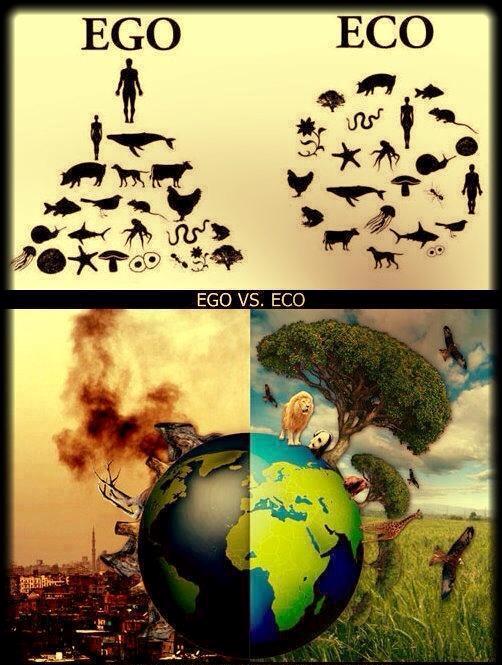 What The Lorax Teaches Us
